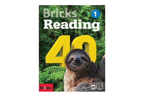 Bricks Reading 40